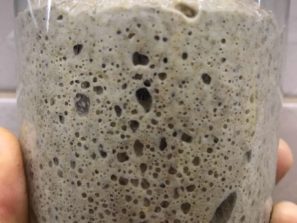 ako si vypestovať kvas